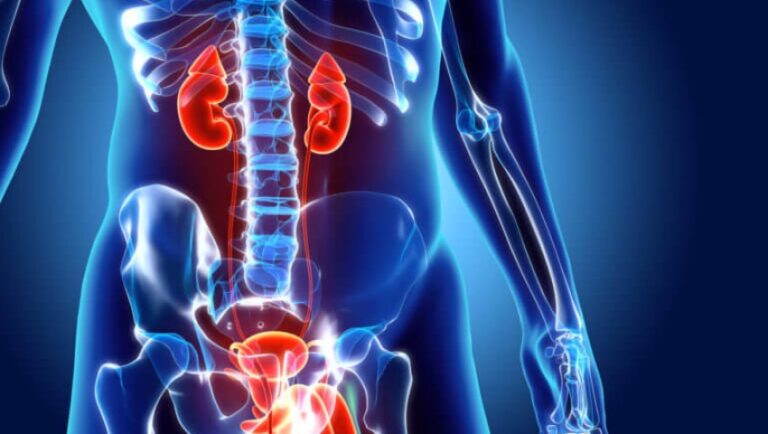 Common Urological Issues: Know the Symptoms | Apex Hospital